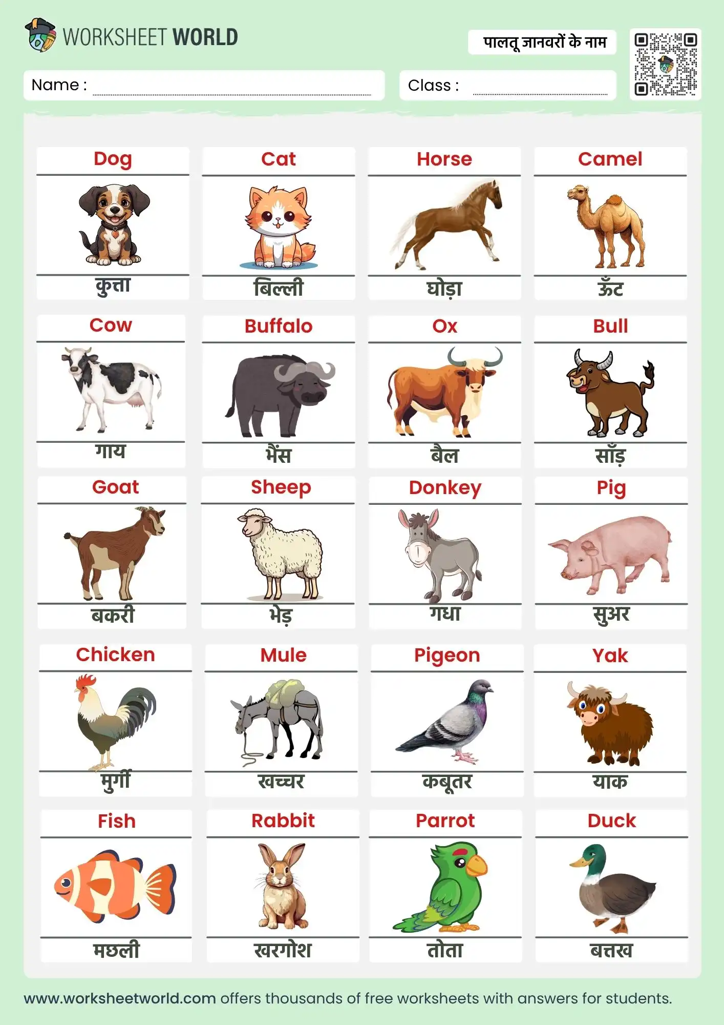 20+ पालतू जानवरों के नाम | Domestic Animals Name in Hindi and English ...